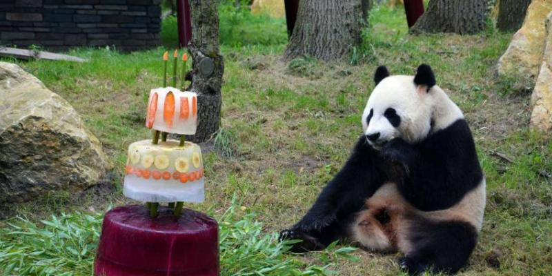 Vol dierbare ontmoetingen - Ouwehands Dierenpark