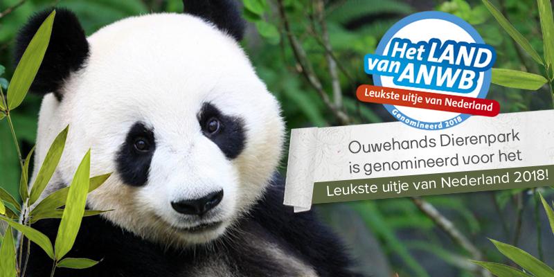 Vol dierbare ontmoetingen - Ouwehands Dierenpark