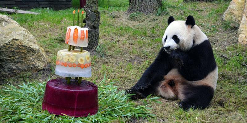 Vol dierbare ontmoetingen - Ouwehands Dierenpark