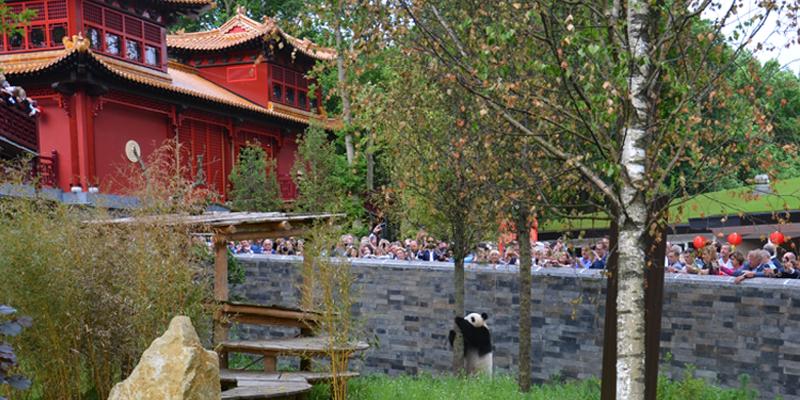 Zoo Avontuurlijk! - Ouwehands Dierenpark