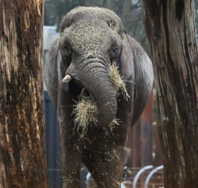 Vol dierbare ontmoetingen - Ouwehands Dierenpark