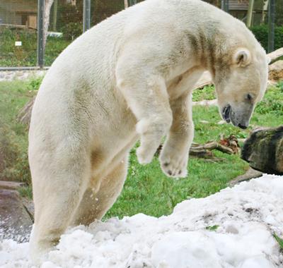 Vol dierbare ontmoetingen - Ouwehands Dierenpark