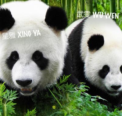 Zoo Avontuurlijk! - Ouwehands Dierenpark