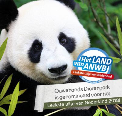 Vol dierbare ontmoetingen - Ouwehands Dierenpark