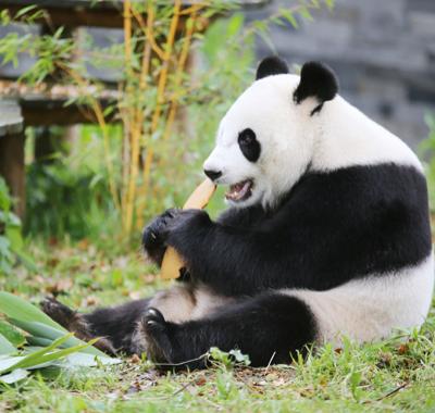Vol dierbare ontmoetingen - Ouwehands Dierenpark
