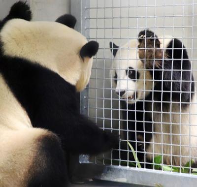 Vol dierbare ontmoetingen - Ouwehands Dierenpark