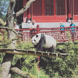 Vol dierbare ontmoetingen - Ouwehands Dierenpark